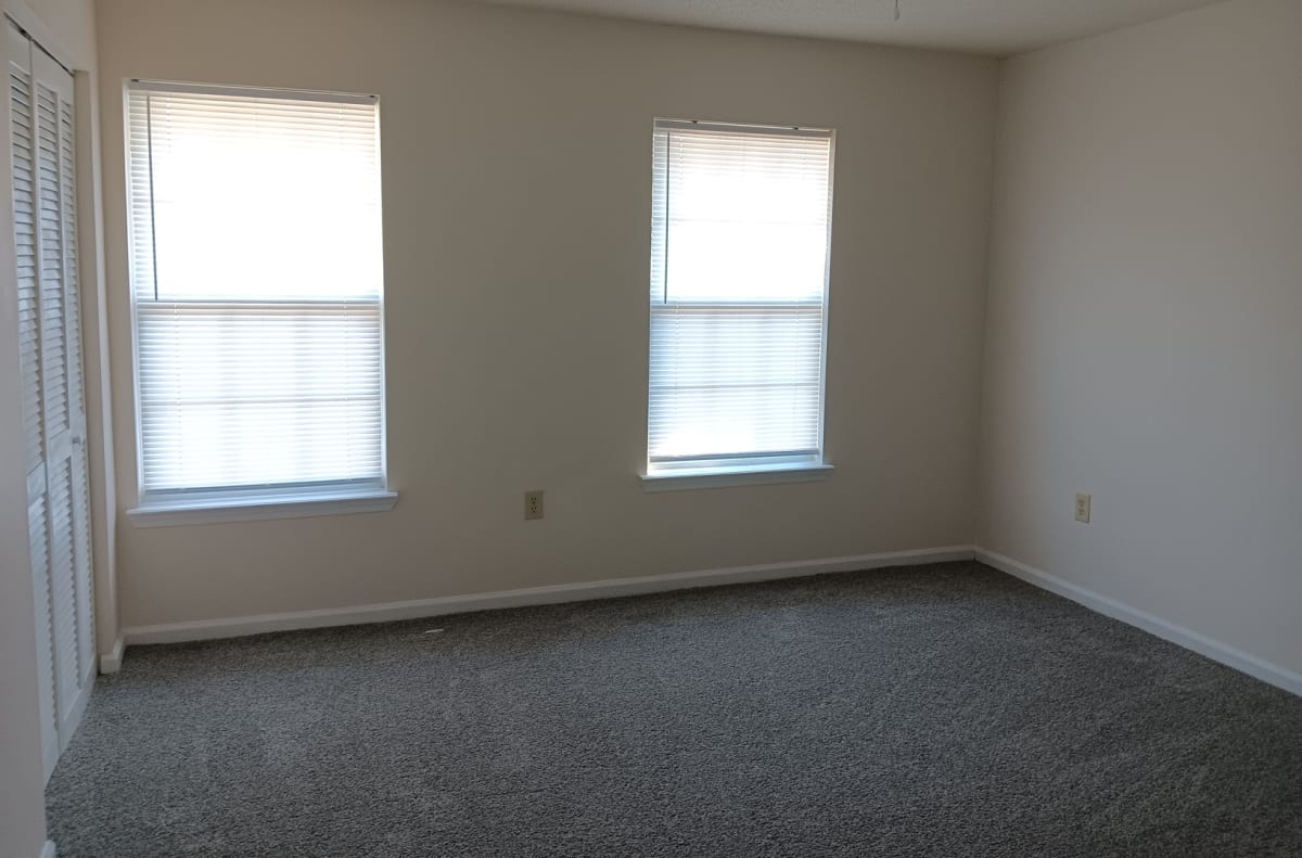 Photos and Video of Forrest Brook in York, SC